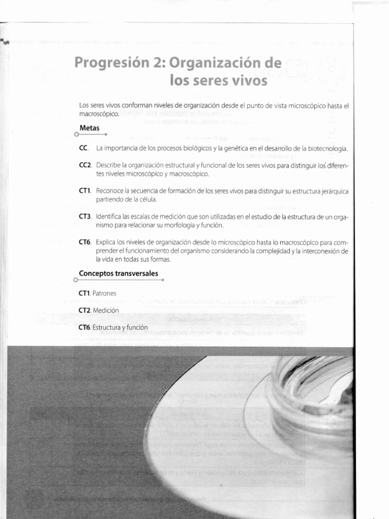 Análisis de Fenómenos y Procesos Biológicos - Progresión 2 | PDF