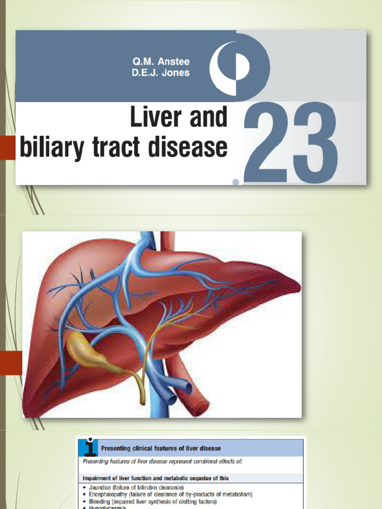 Understanding Jaundice and Bilirubin Levels | PDF | Liver | Diseases ...