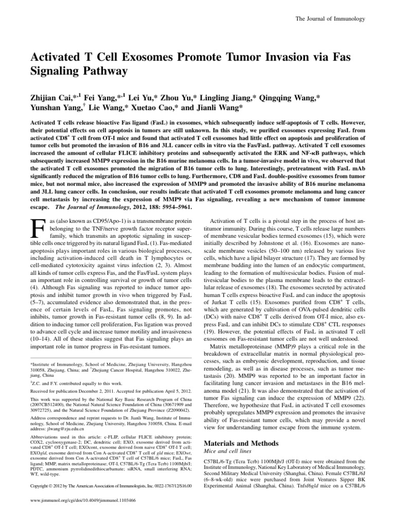 Activated T Cell Exosomes Promote Tumor Invasion Via Fas - Full | PDF ...
