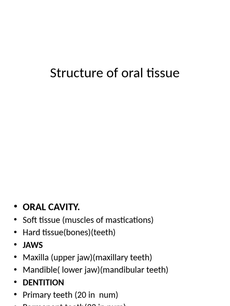 1-Structure of Oral Tissues | PDF | Human Tooth | Tooth