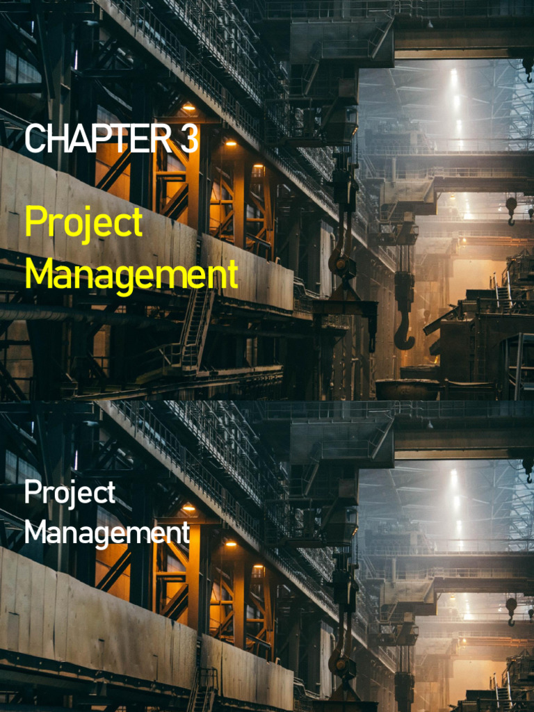 Chapter 3 Project Management | PDF | Project Management | Business