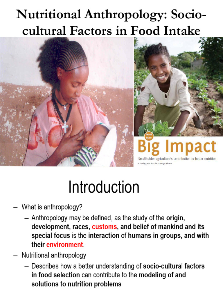 Nutritional Anthropology Insights | PDF | Foods | Anthropology