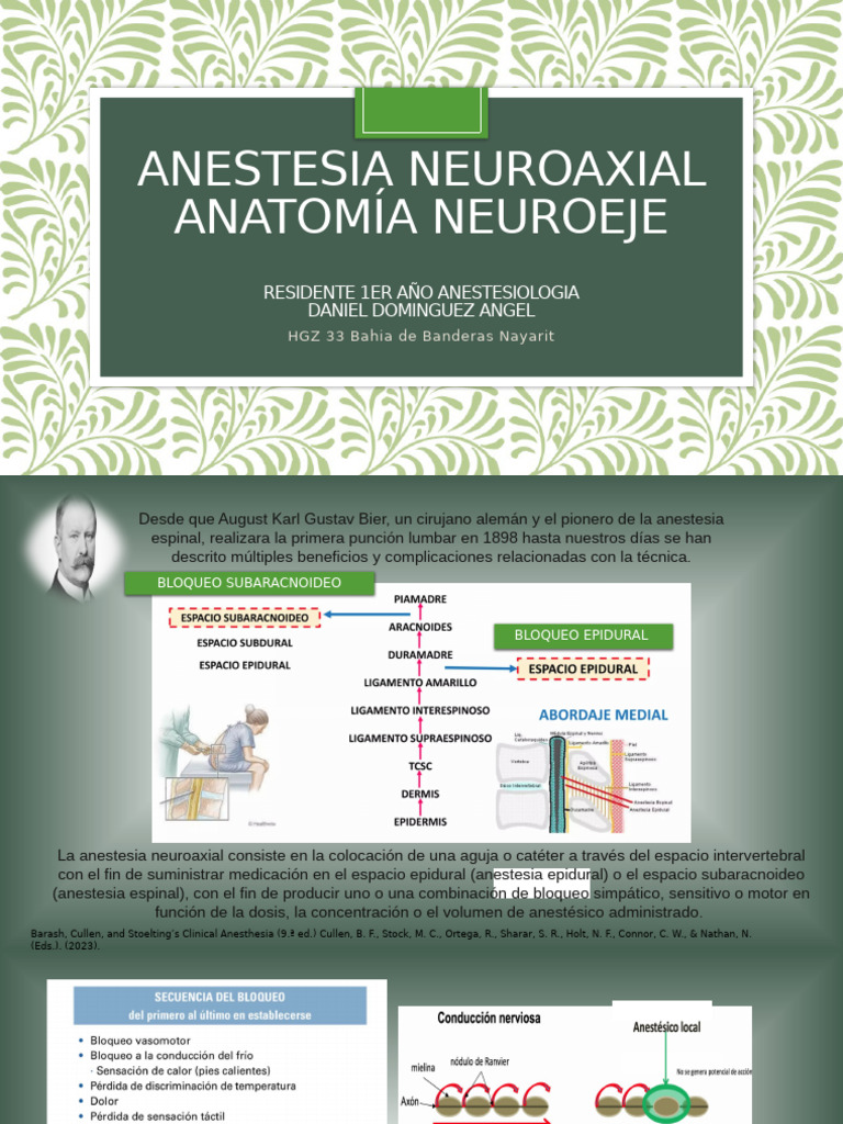 Anatomía de la Anestesia Neuroaxial | PDF | Vértebra | Médula espinal