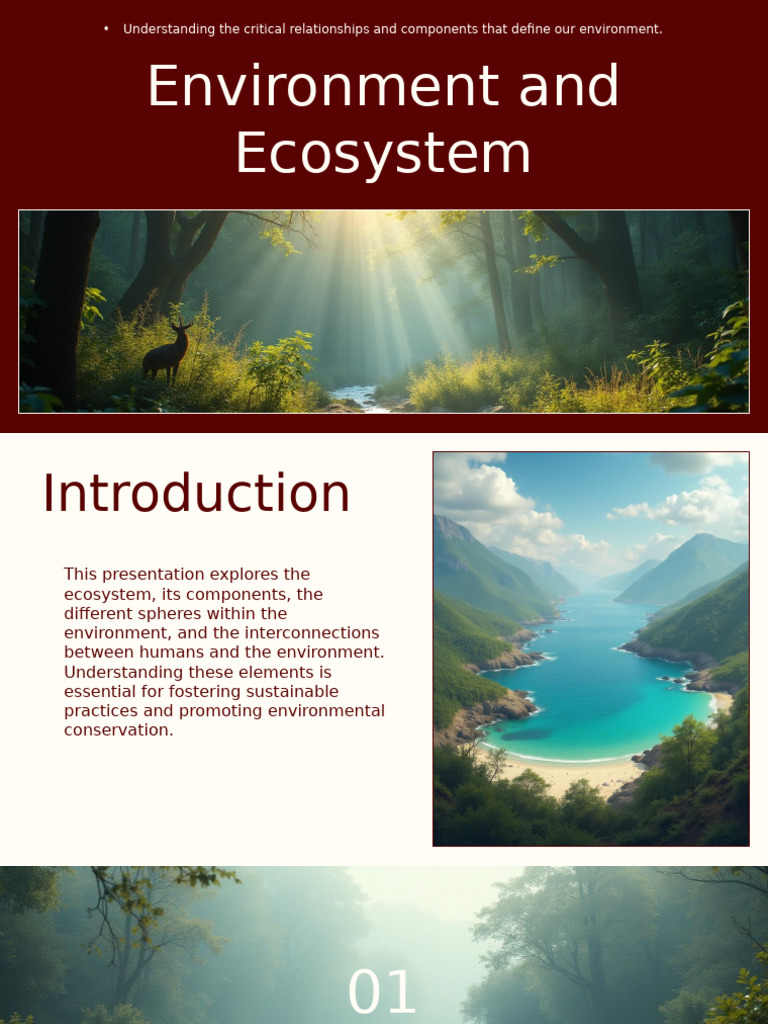 Ecosystem Dynamics and Human Impact | PDF | Ecosystem | Earth Sciences