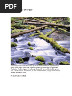 NOAA Shark Identification Placards | PDF | Sharks | Vertebrates