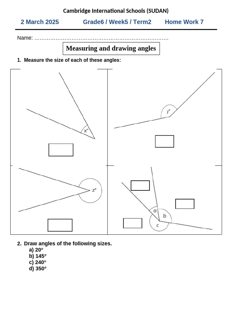 Grade 6 Angle Measurement Homework | PDF
