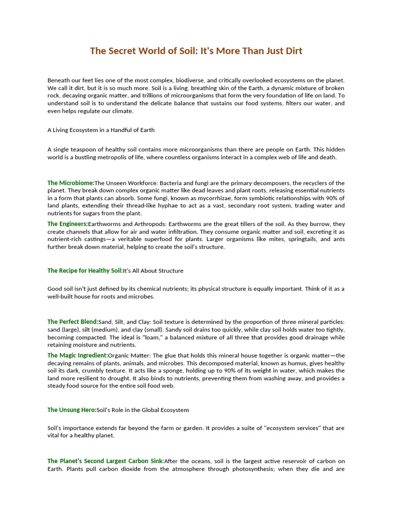 The Secret World of Soil - It's More Than Just Dirt | PDF | Soil ...
