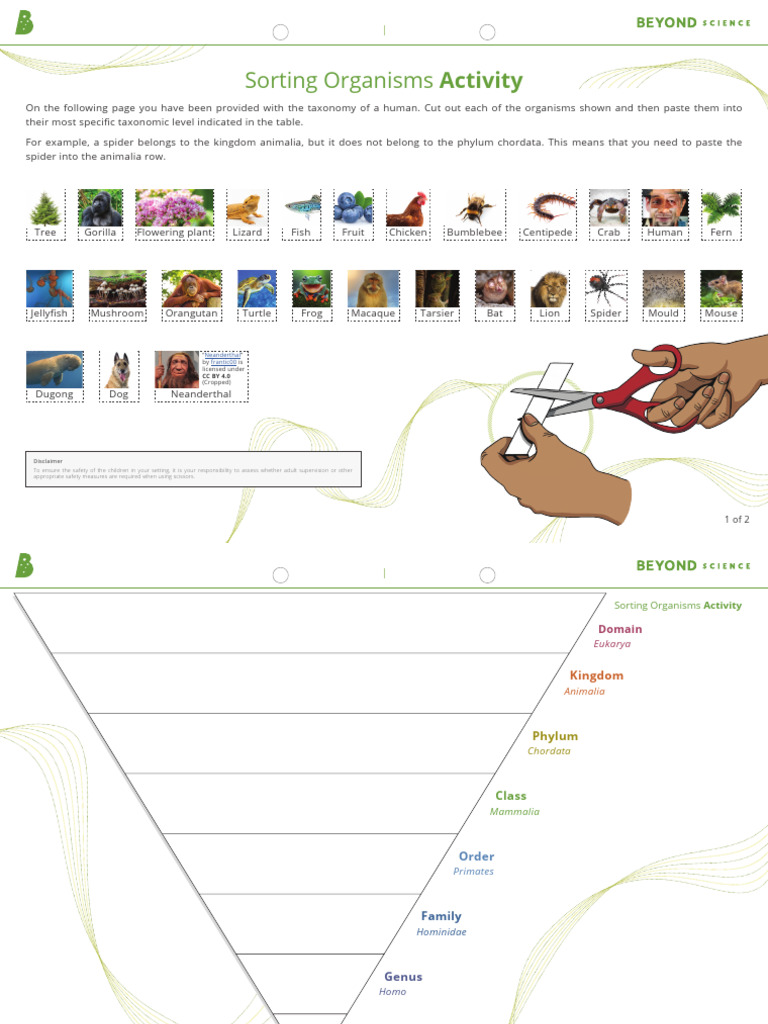 Assignment 1 Sorting Organisms Activity | PDF