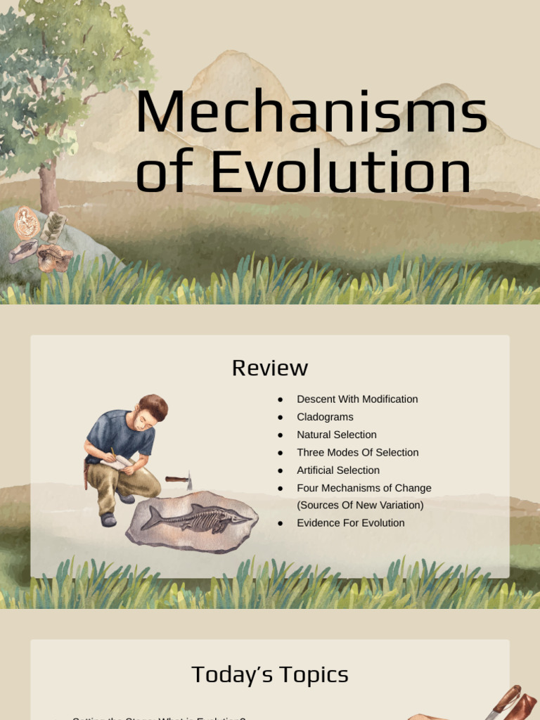 Mechanisms of Evolution Explained | PDF | Evolution | Natural Selection