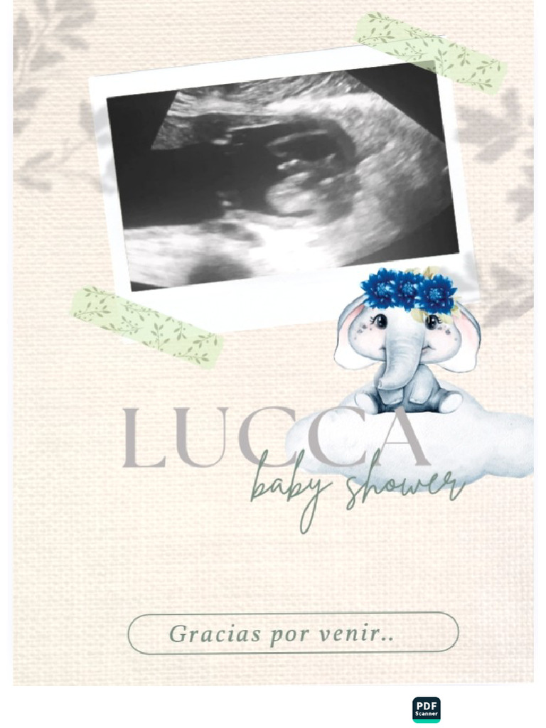 ACE Scanner_2025_05_03 | PDF