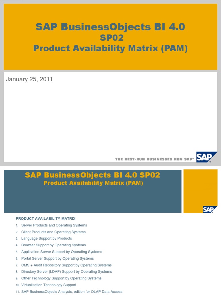 SAP Business Objects BI 4 0 SP02 PAM | PDF | Business | Computers