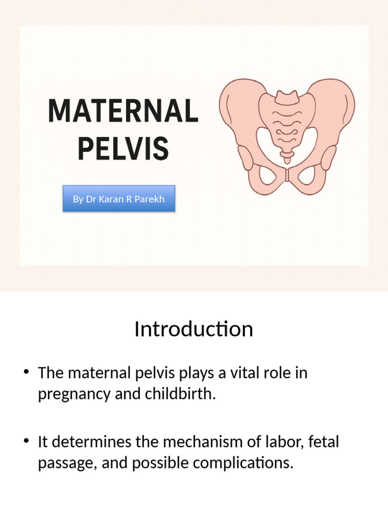 Maternal Pelvis Anatomy and Function | PDF | Pelvis | Musculoskeletal ...