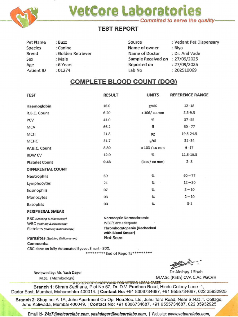 Buzz Dog Reports 27-09-2025 | PDF