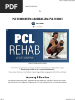 Rotator Cuff and Shoulder Conditioning Program - OrthoInfo - AAOS | PDF ...