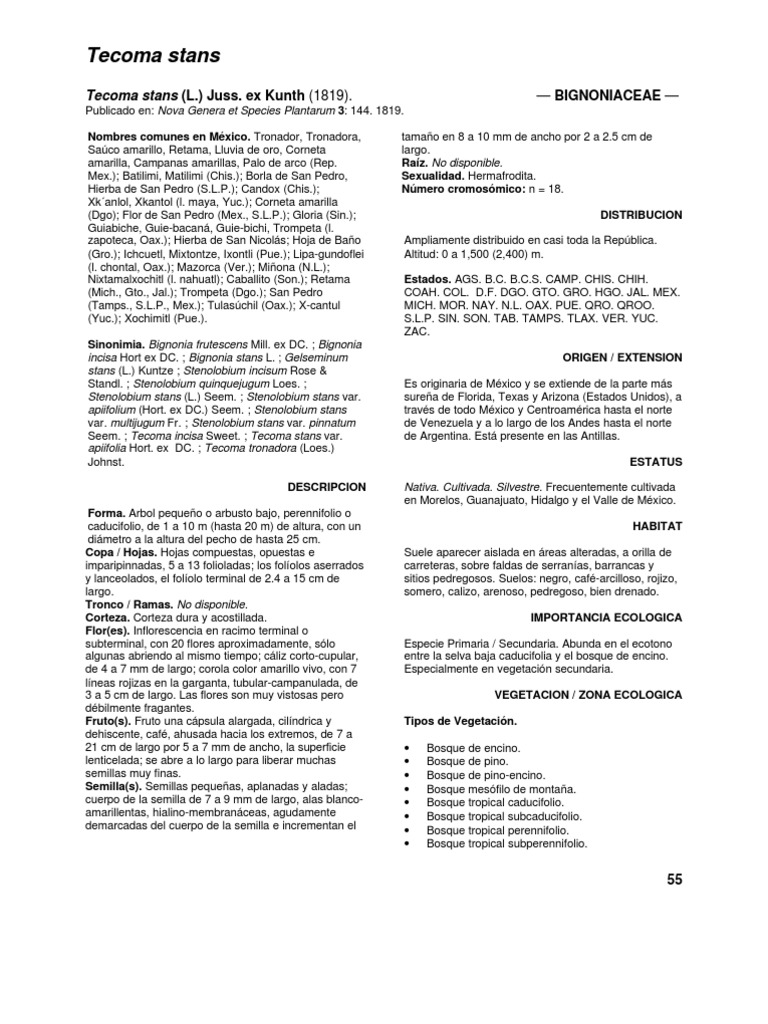Tecoma Stans | PDF | Selva | Los bosques