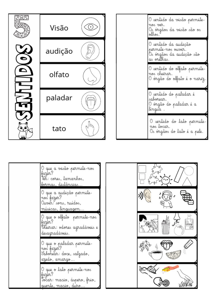 Os Cinco Sentidos e Suas Funções | PDF