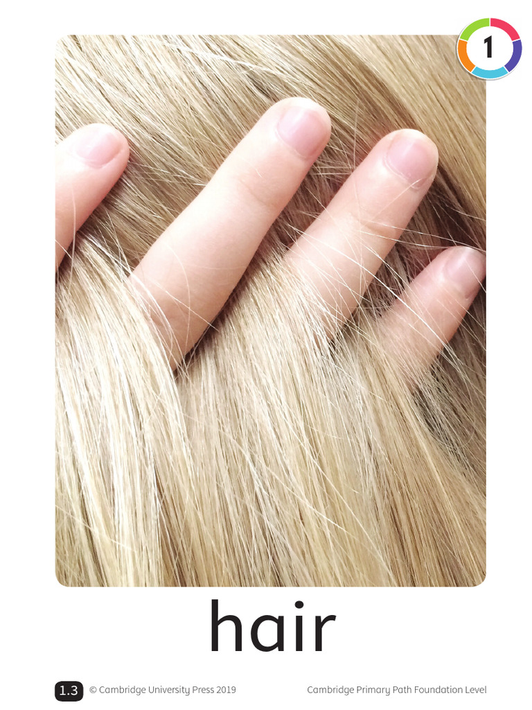 CPP LF Flashcard 1.3 Hair | PDF