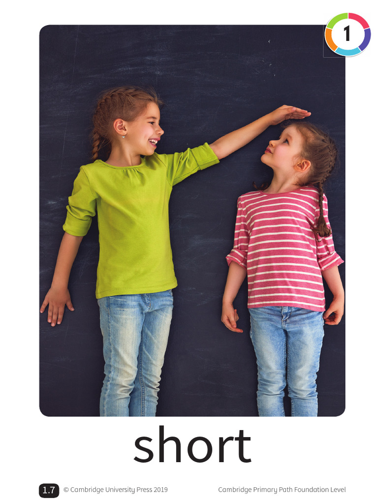 CPP LF Flashcard 1.7 Short | PDF