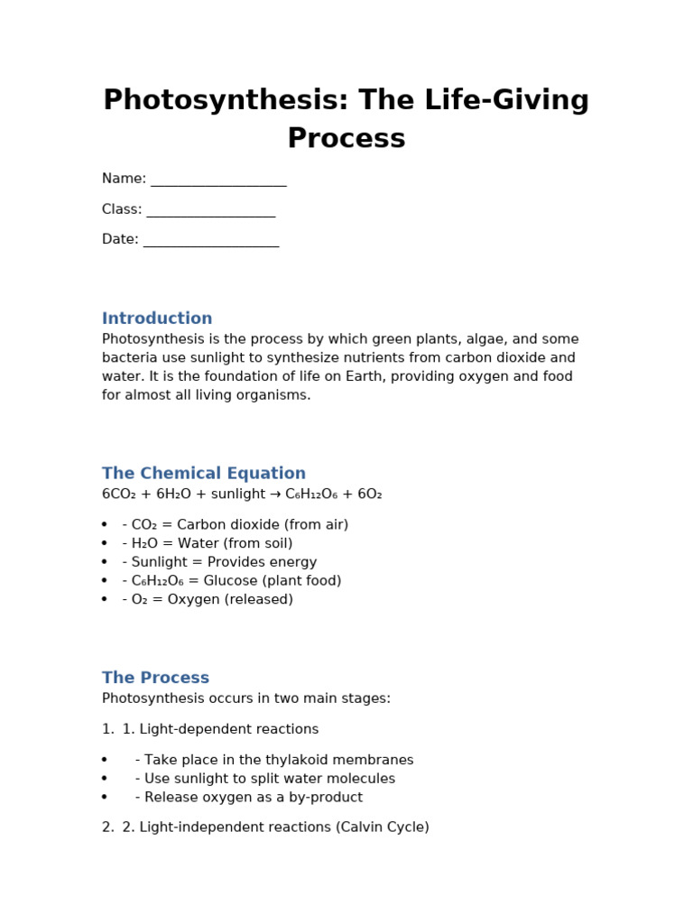 Photosynthesis Assignment | PDF