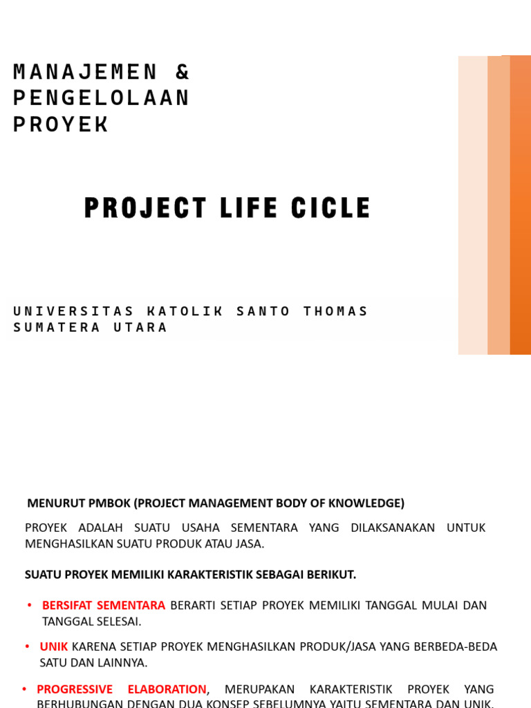 Project Life Cycle | PDF