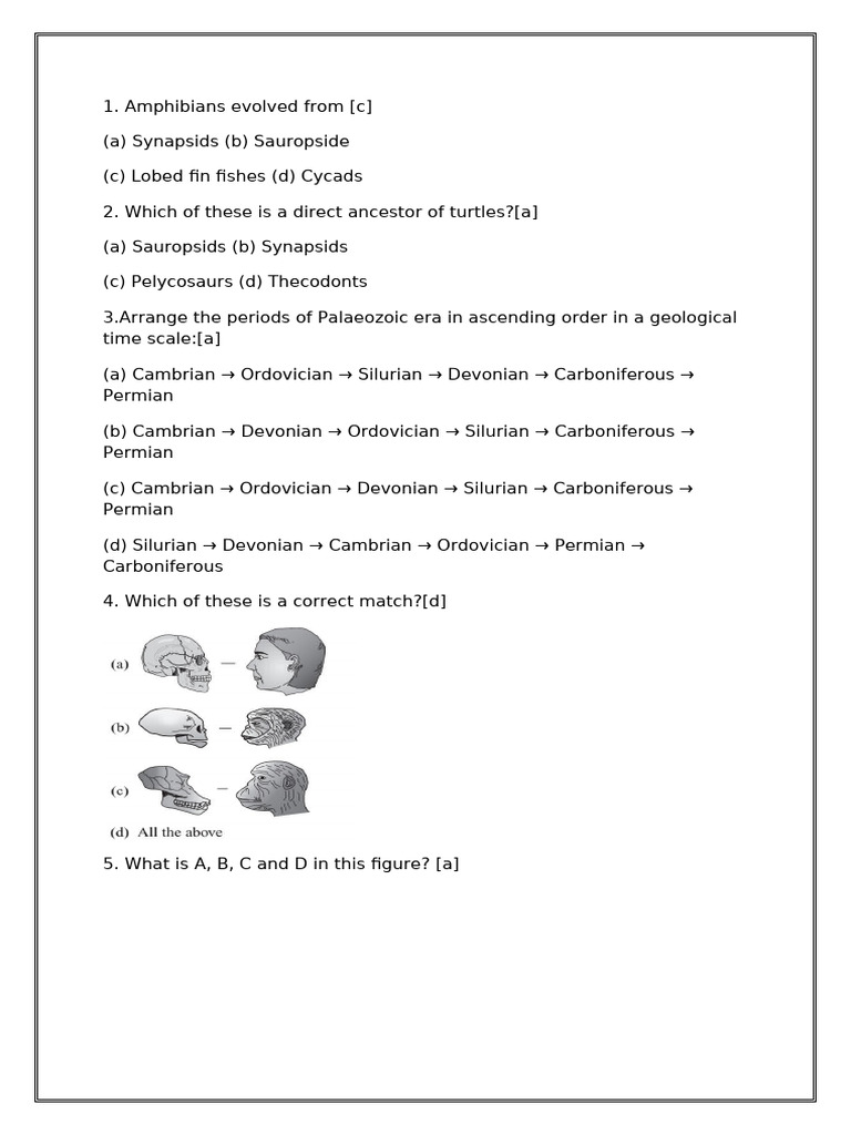 Evolutionary History of Amphibians and Dinosaurs | PDF | Dinosaurs