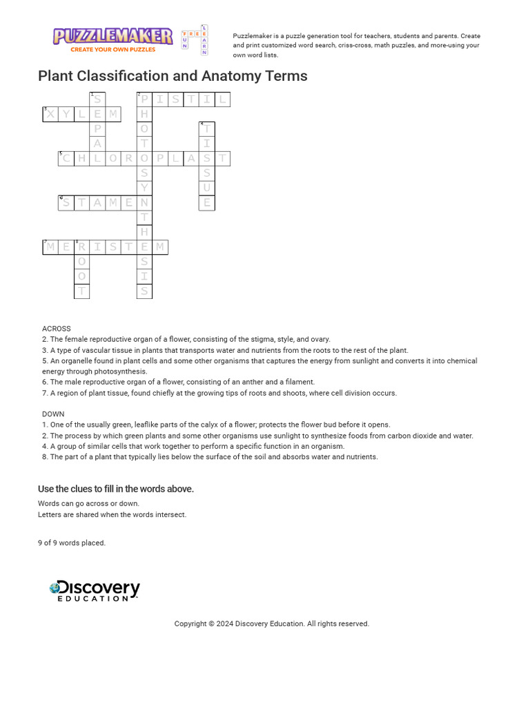 Criss Cross Puzzle - Discovery Education Puzzlemaker | PDF