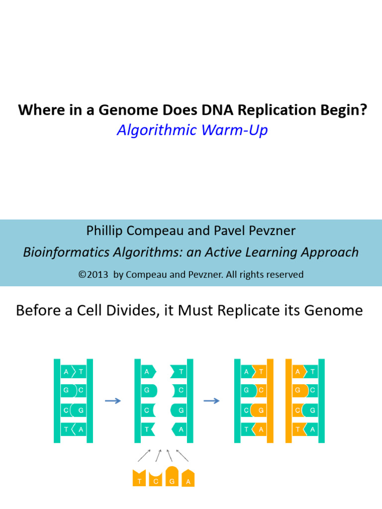 Lecture 05 ReplicationOrigin | PDF | Base Pair | Dna Replication