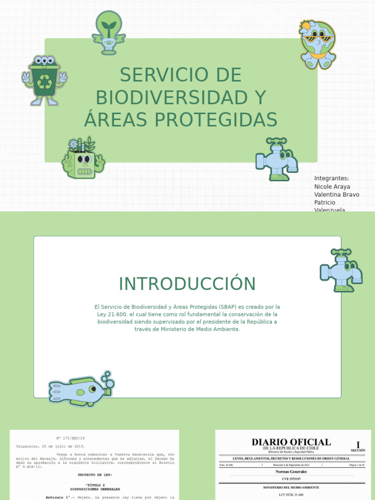 Creación del SBAP en Chile | PDF | Humedal | Entorno natural