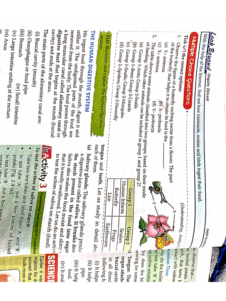 Class 7 Science Complete Work of Book HY Syllabus | PDF