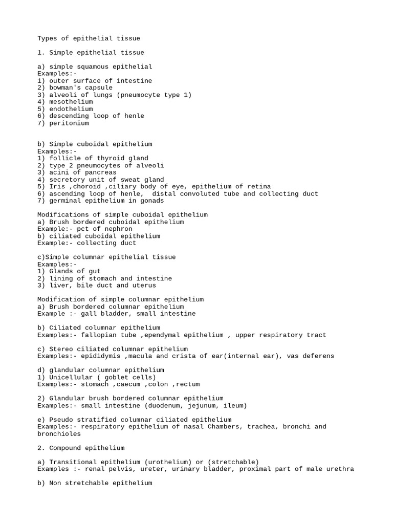 Transfer Dock - Text - 20250914100456 | PDF