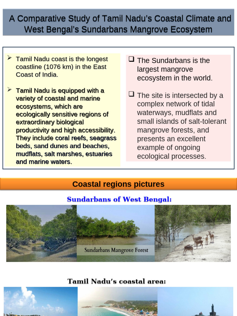 Samanyu Project | PDF