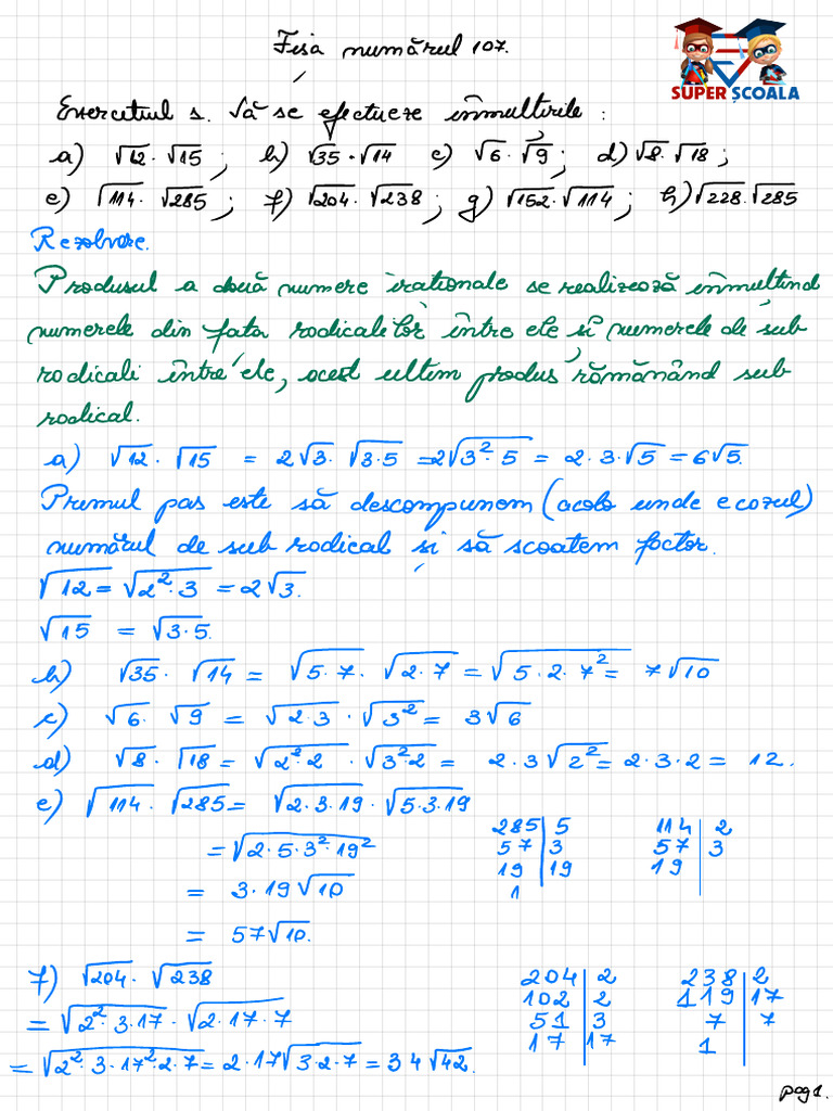Fisa Calcul Raducali VII | PDF