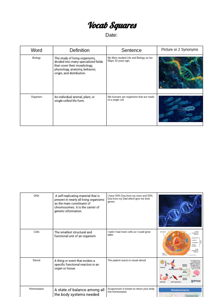 Vocab Squares Ch. 1 Template | PDF
