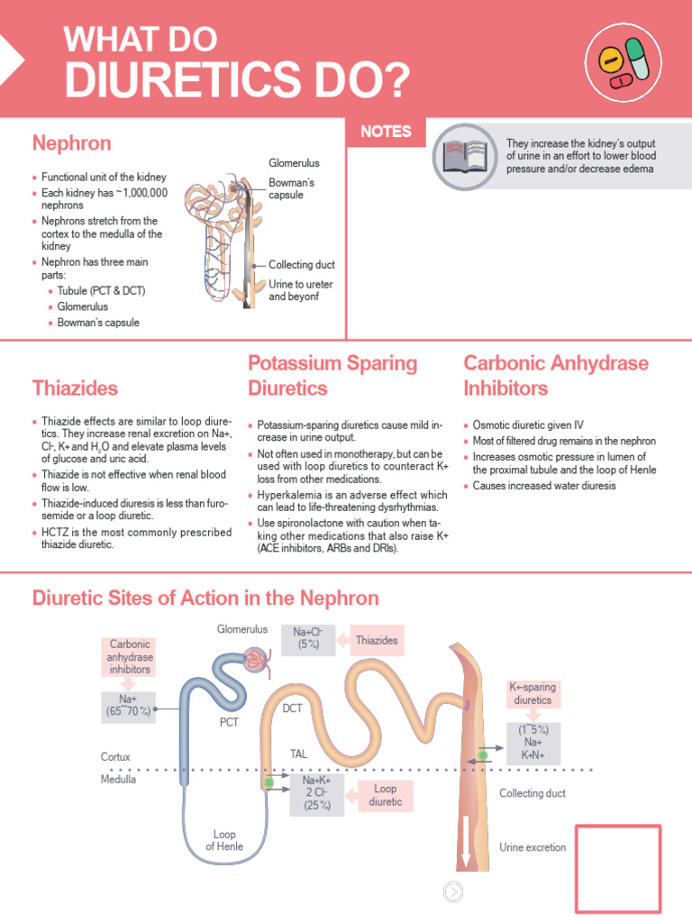 Cheat Sheet What Do Diuretics Do Nursing | PDF | Kidney | Urinary System