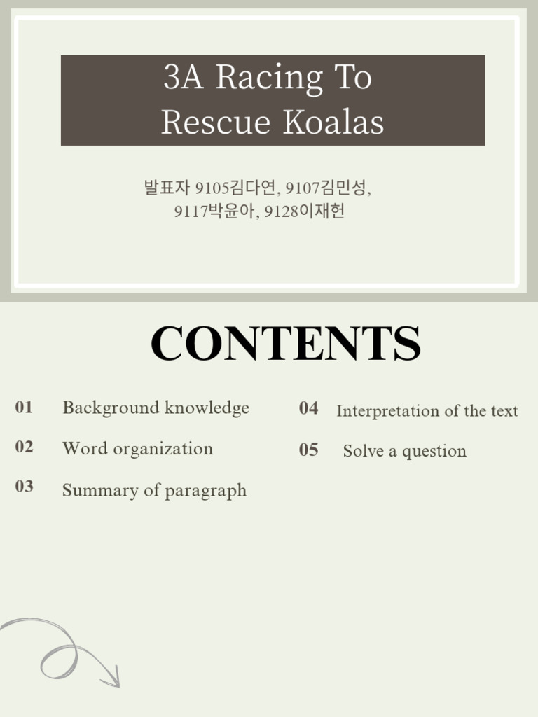 3A Racing To Rescue Koalas | PDF