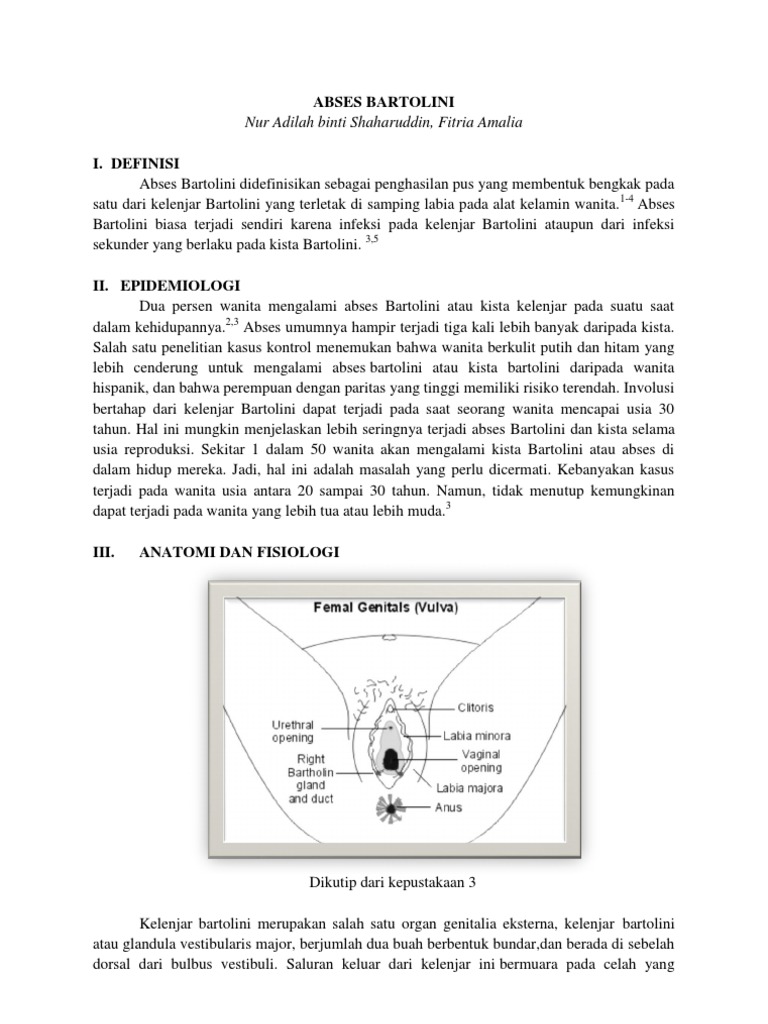 Abses Bartolini | PDF