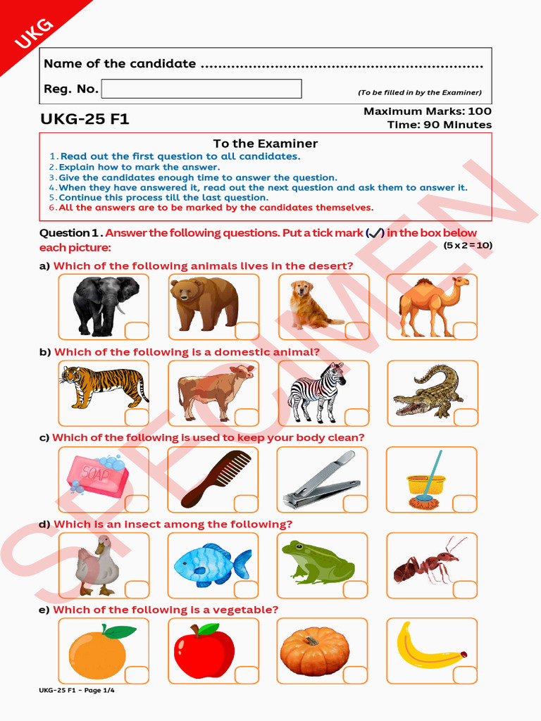 Specimen Question Paper UKG 2025 - 26 | PDF | Chess | Chess Theory