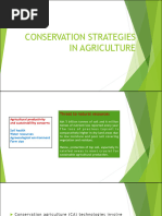 Understanding Fallowing in Agriculture | PDF | Crop Rotation | Agriculture