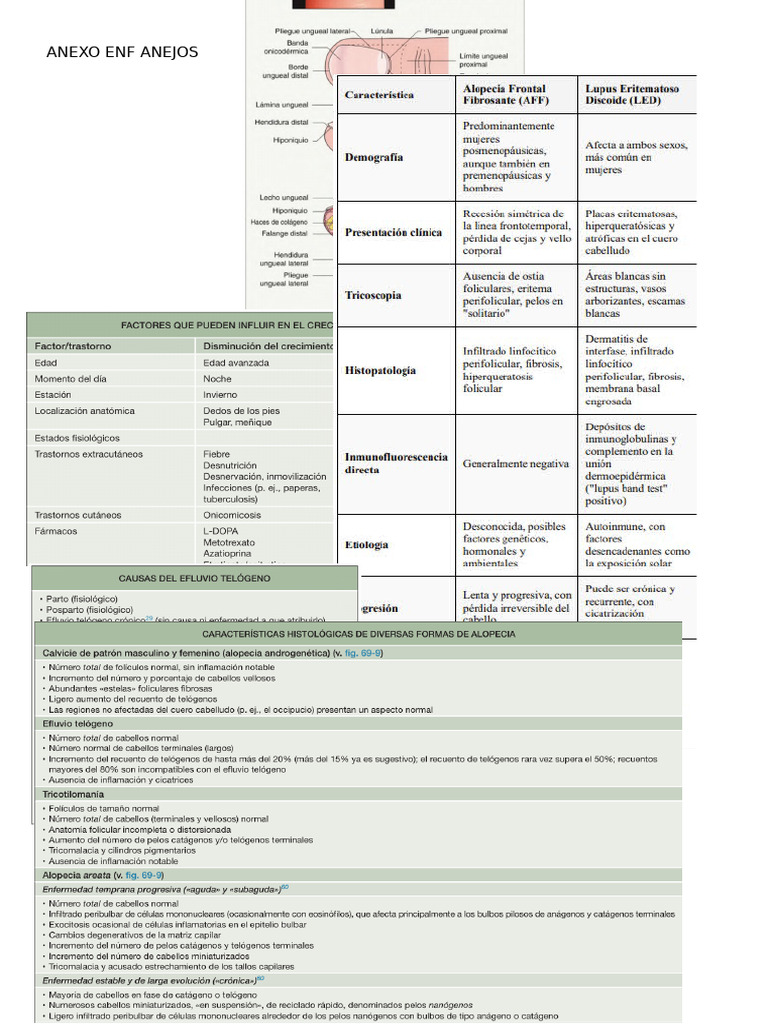 Anexo Enf Anejos | PDF