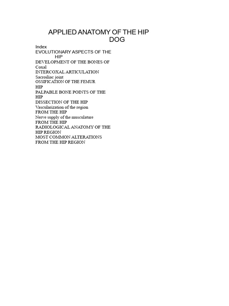 Dog Hip Anatomy and Dissection Guide | PDF | Human Leg | Pelvis