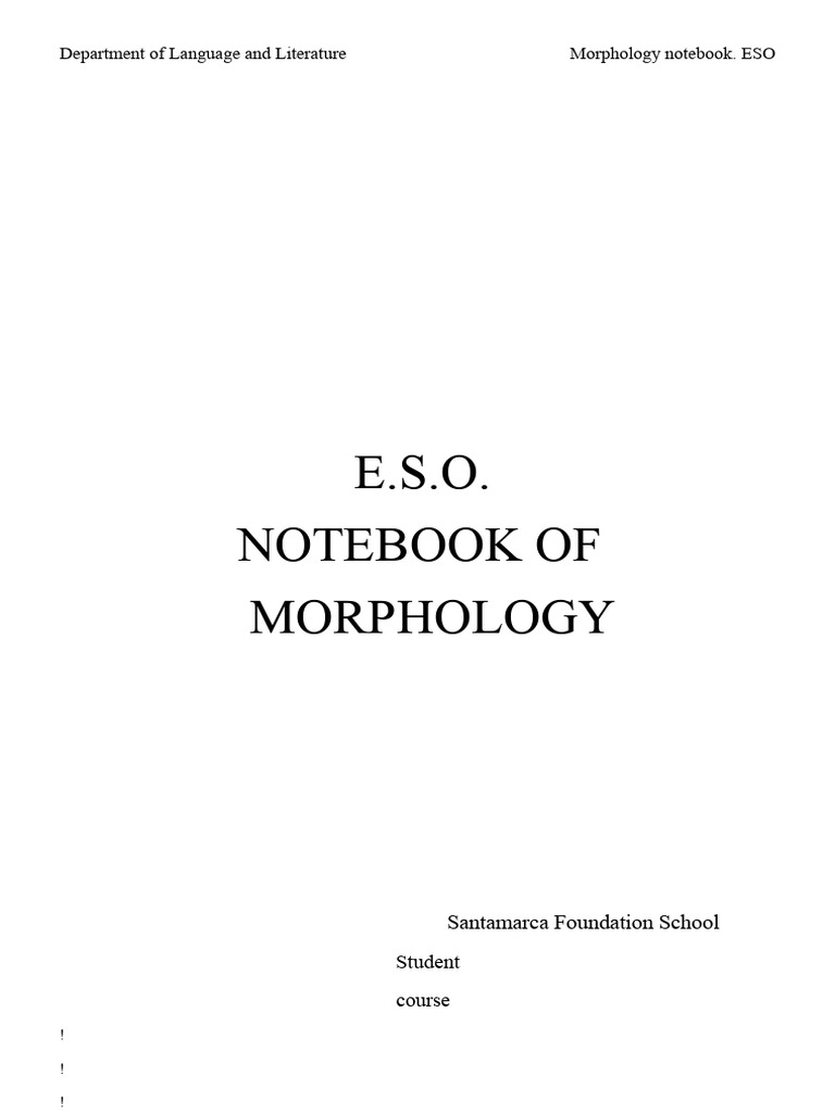 Secondary Morphology Notebook | PDF | Grammatical Number | Morphology ...