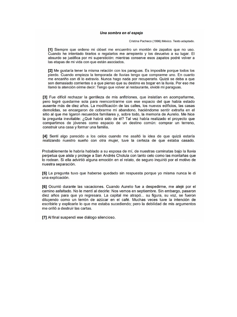 A Shadow in The Mirror | PDF