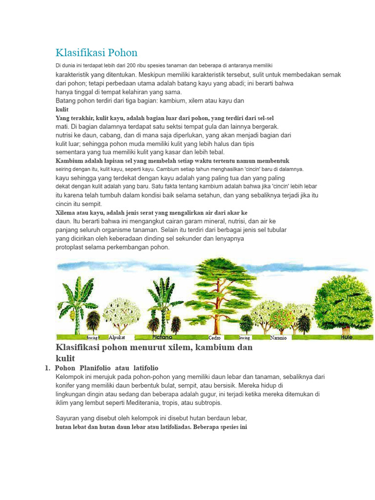 Klasifikasi dan Jenis Pohon Lengkap | PDF