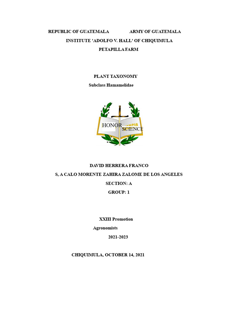 Overview of Subclass Hamamelidae | PDF | Ficus | Flowers