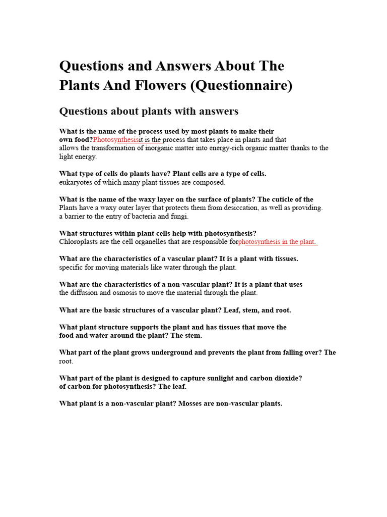 Plant Biology Q&A: Photosynthesis & Structures | PDF | Plants | Flowers