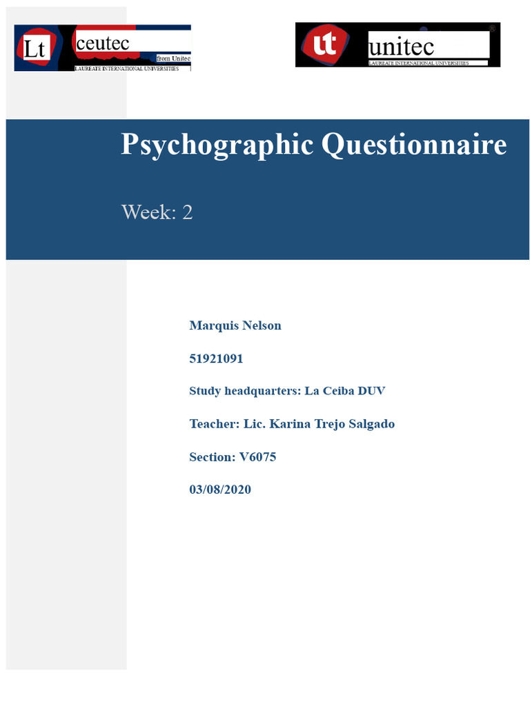 S2-T2 - Psychographic Questionnaire - Consumer Behavior - MN | PDF