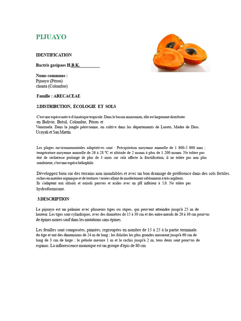 Fiche Technique Pijuayo | PDF | Semis | Pérou
