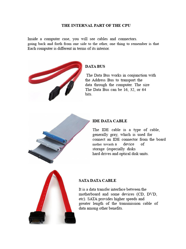 The Internal Part of The CPU1 | PDF | Random Access Memory | Read Only ...