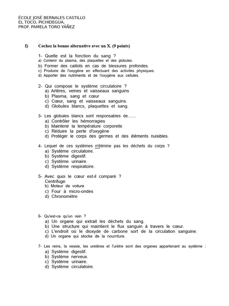 Quiz sur le système circulatoire et respiratoire | PDF | Sang | Système ...