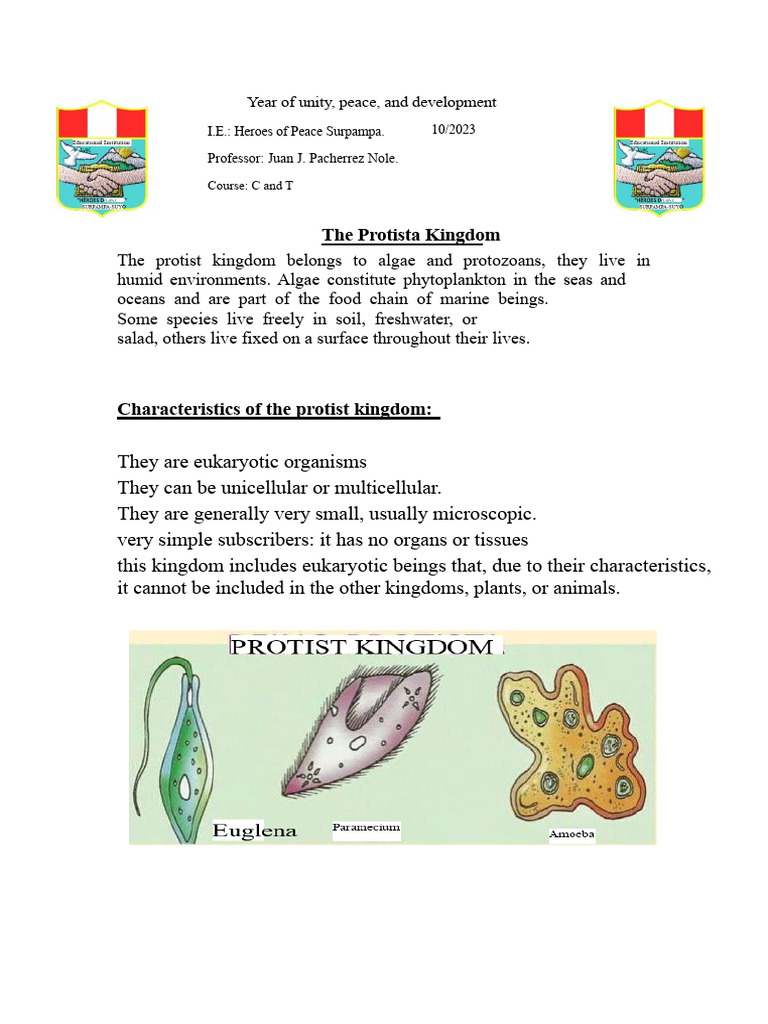 Understanding the Protist Kingdom | PDF